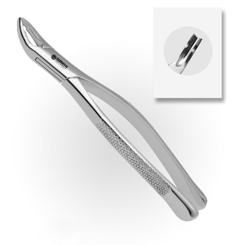 Fig 150AS Extraction Forceps American Pattern – GR Instrumed