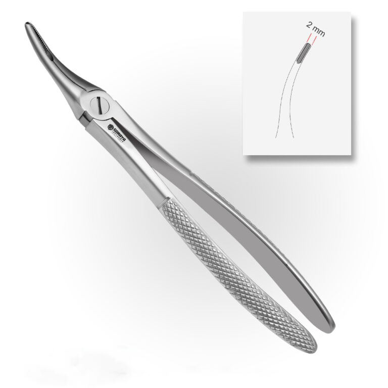 Fig 44 Extraction Forceps English Pattern – GR Instrumed