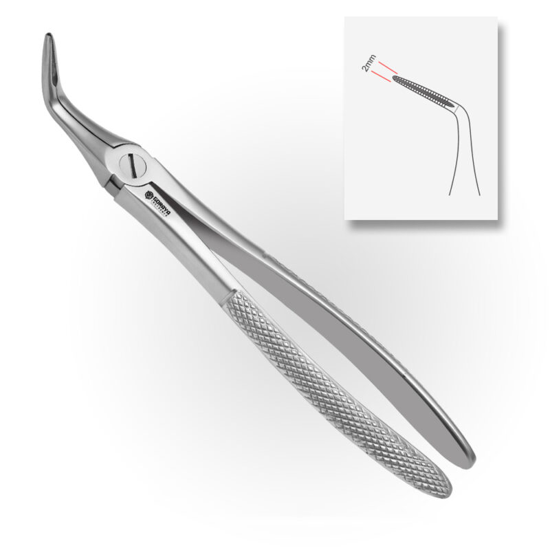 Fig 46L Extraction Forceps English Pattern – GR Instrumed