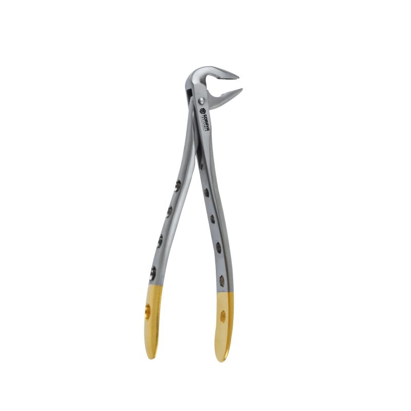 Dental Extraction Forceps F-5 Lower Anterior – GR Instrumed